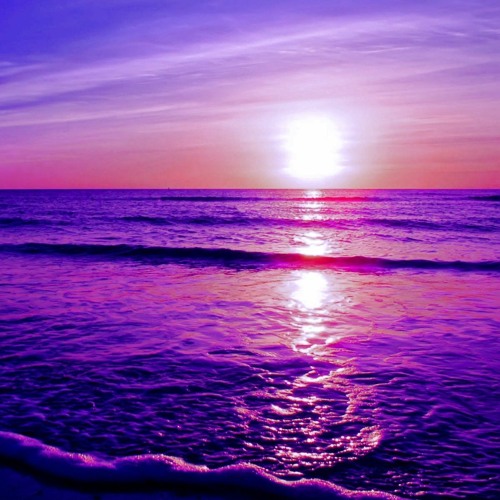 Stream episode CVM AGM Meeting Call Audio Discussing Multikine Phase 3 ...