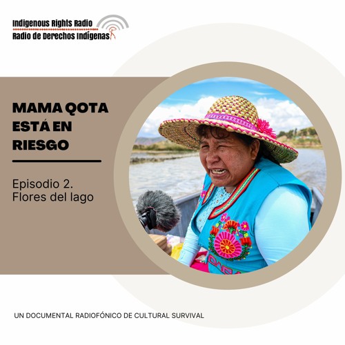 Stream Mama Qota está en riesgo: flores del lago by Cultural Survival ...