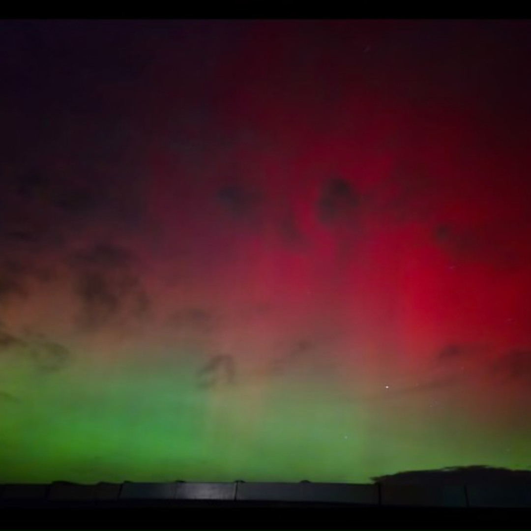 Stream Mod Boss ft. Rock Izy by MusicAsMedicine / Tree Company | Listen ...