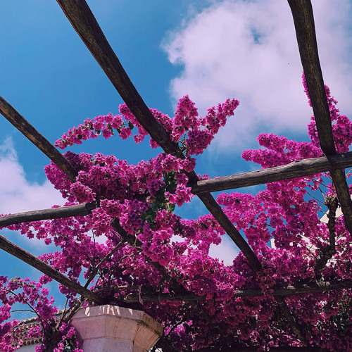 Stream Blue Sky by Myles Hunt | Listen online for free on SoundCloud