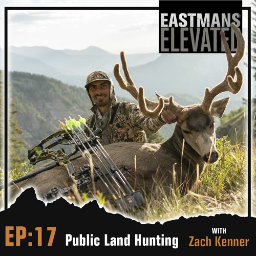 Stream episode Episode 17: Public land hunting with Zach Kenner by ...