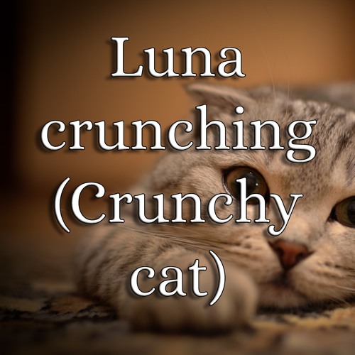Stream Luna Crunching (Crunchy Cat) by MEMEPEDIAS | Listen online for ...