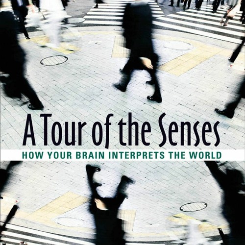 Stream episode [PDF] DOWNLOAD A Tour of the Senses: How Your Brain ...
