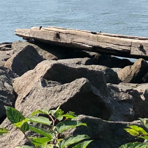 Stream The Pond by Jordan Wav | Listen online for free on SoundCloud