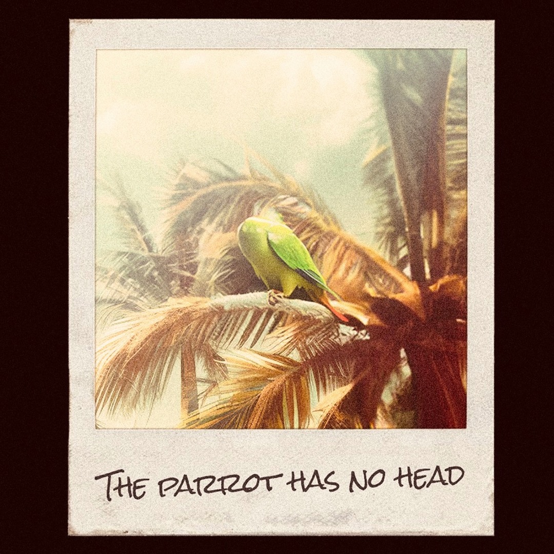 Stream The Parrot Has No Head by Emcee Botttt | Listen online for free ...