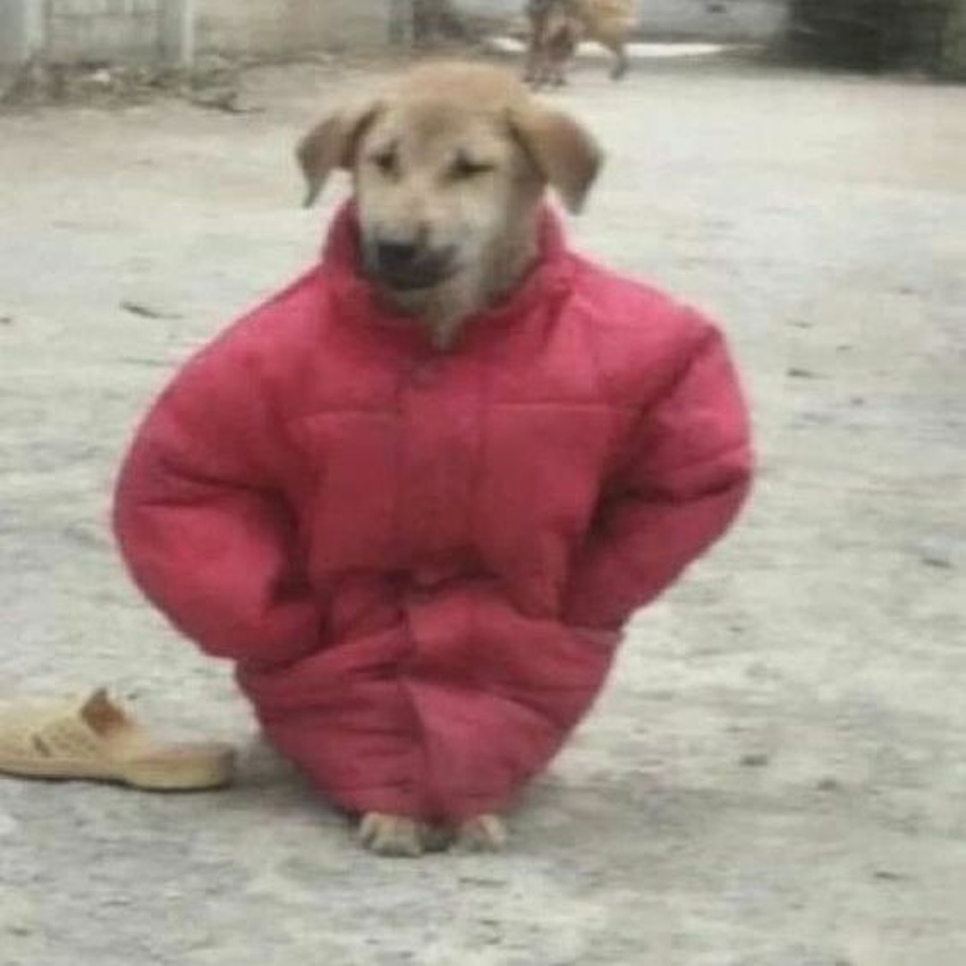 Stream MODS - TORE TANG (filthy dnb flip) by Roligste | Listen online ...