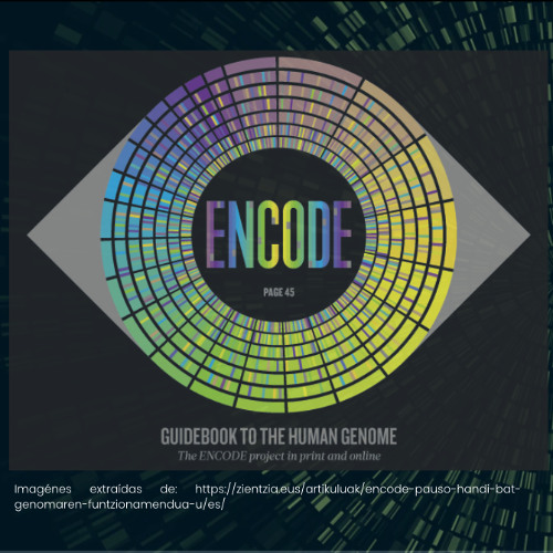 Stream 9. ENCODE: Más allá de los genes - Descubriendo los secretos de nuestro ADN “oscuro” by ...