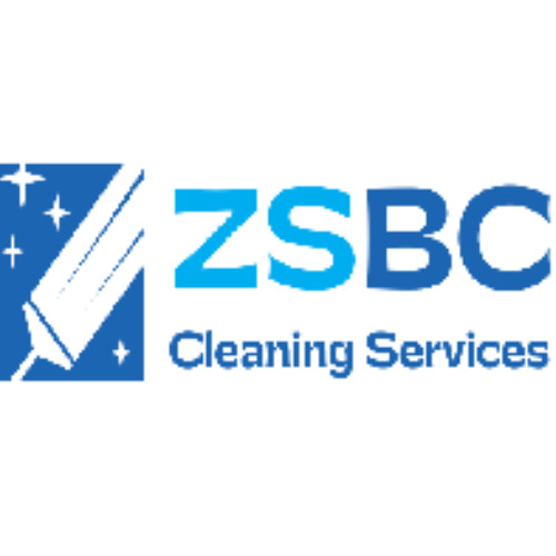 Stream Reliable and Professional Cleaner Manpower Supply Company in ...