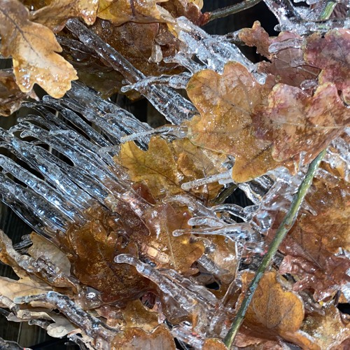 Stream DREAMNT IT ft harto faLión by _JDN | Listen online for free on ...