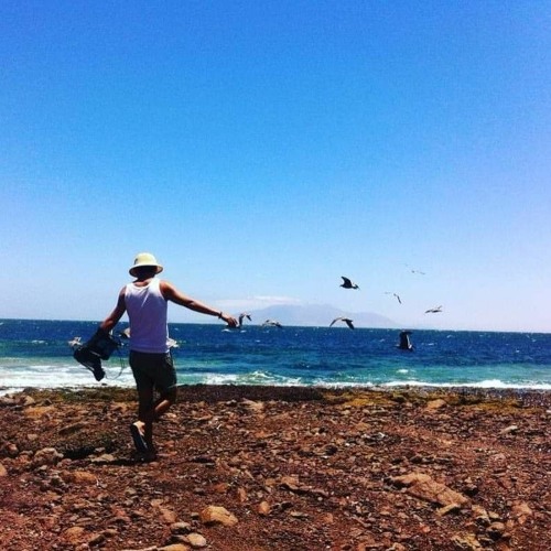 Stream Kevin Nitsch - Alameda by Kevin Nitsch | Listen online for free on SoundCloud