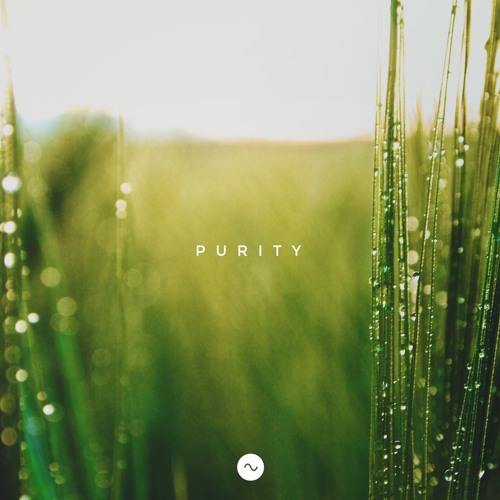 Stream Sine - Purity (Snippet) by Sine Music | Listen online for free on SoundCloud