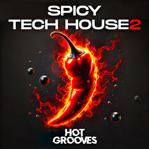 Stream HG019 Hot Grooves - Spicy Tech House 2 by Hot Grooves | Listen online for free on SoundCloud