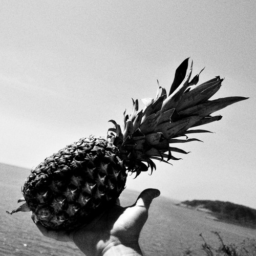 Stream Bring You Home (Holy Version) by Tom Gallo | Listen online for ...