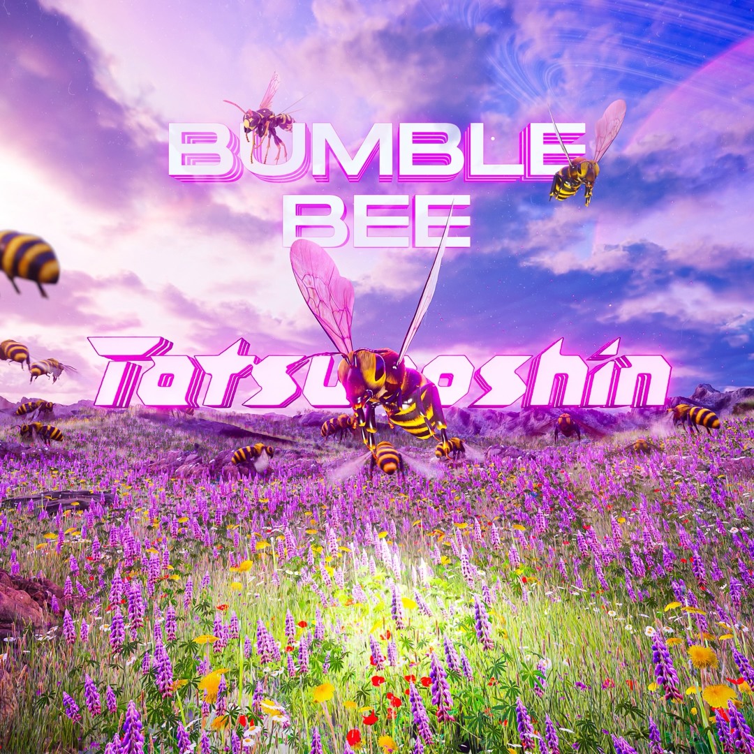 Stream Tatsunoshin - Bumble Bee (Extended Mix) by Tatsunoshin | Listen ...