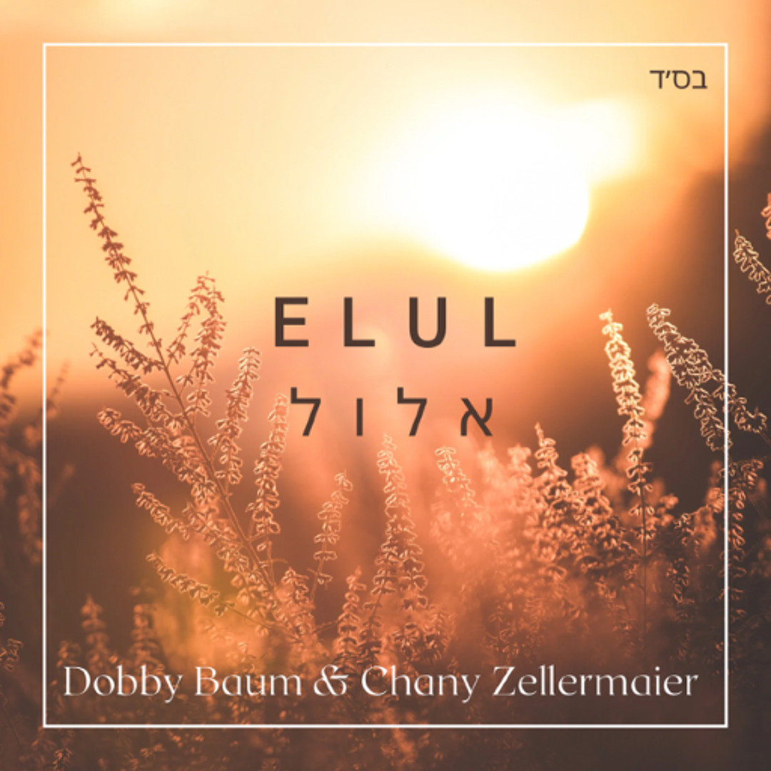 Stream Osher Shalom Jewish Music | Listen to Dobby Baum & Chany ...
