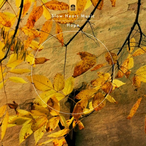 Stream Slow Heart Music - Shelter // from the new album 'Hope' by Ben ...