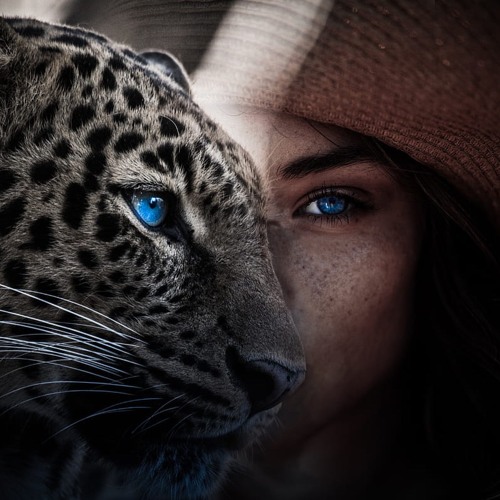 Stream OX - SIX(Schlaflos) ... Jaguar ... (live Techno Mix Set) ...Okt ...