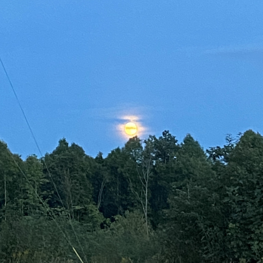 Stream THAT'S WHAT SUMMERS ARE FOR by Seth Burke | Listen online for ...