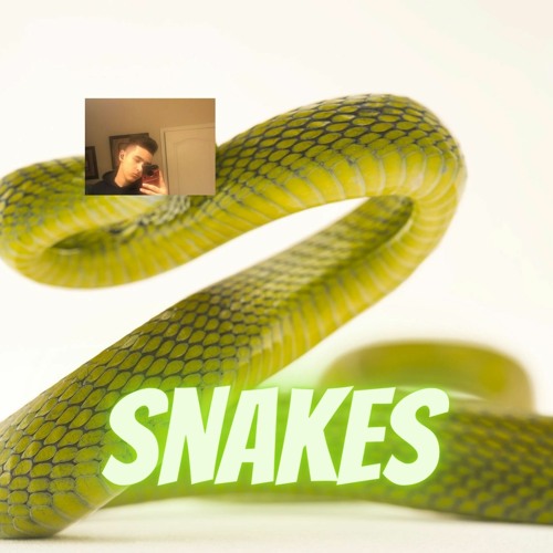 Stream Snakes by yunier | Listen online for free on SoundCloud