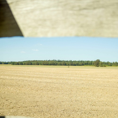 Stream FIELD LISTENING: Wüsten-Buchholz, DE on 19 August 2022 (excerpt ...