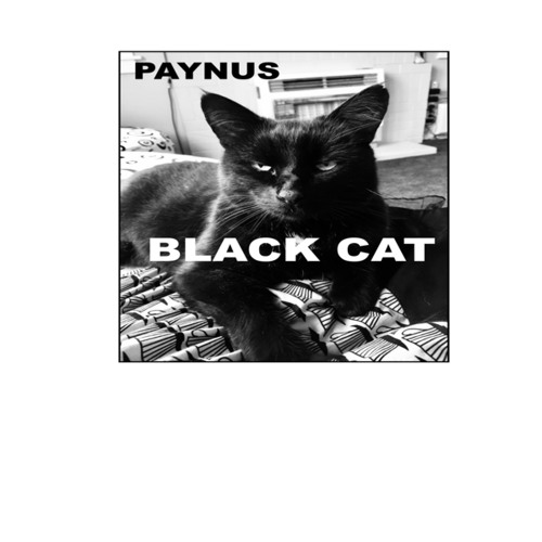 Stream Look Them in the Eye by Paynus | Listen online for free on ...