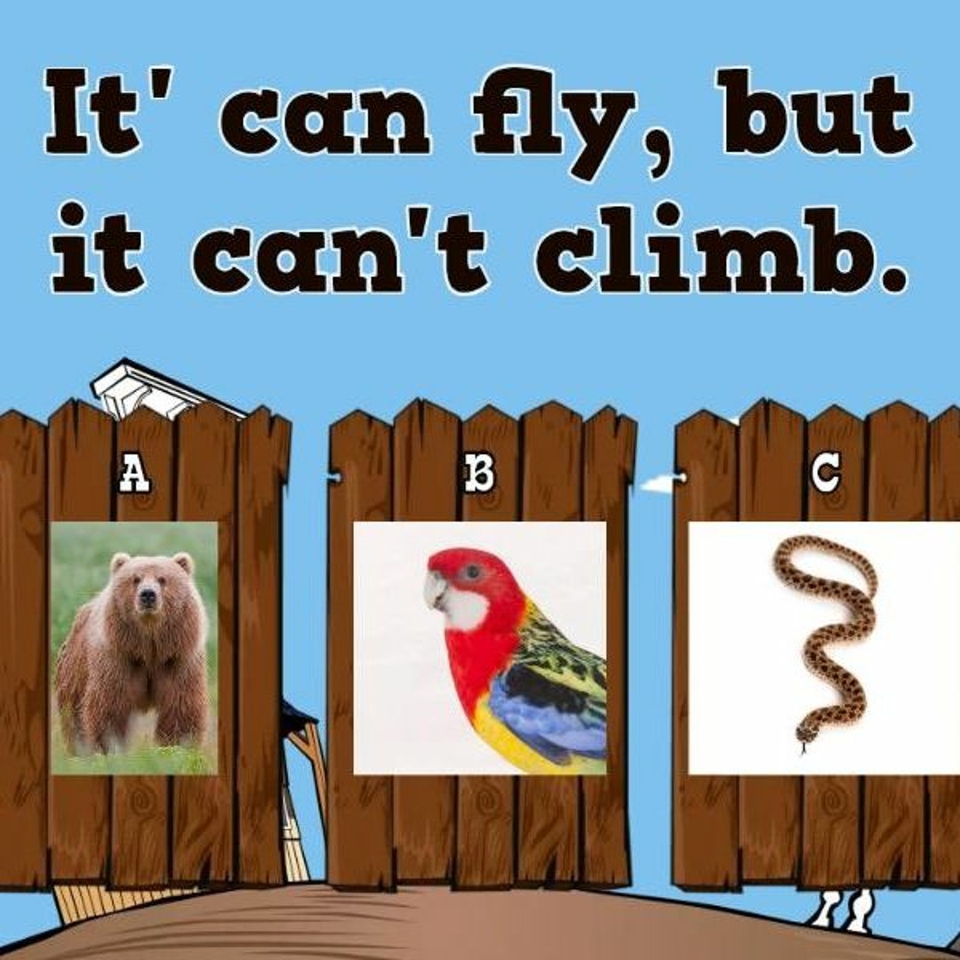 Animals Wordwall Animals Teaching Resources