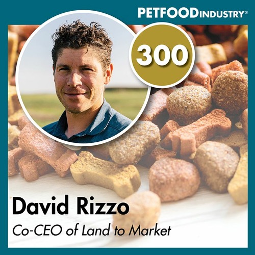 Stream episode Regenerative Agriculture with David Rizzo of Land to ...