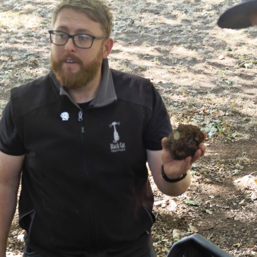 Stream Ballarat Chef Truffle Farmer Liam Downes On His Tree Change And ...