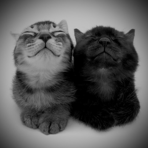 Listen to PS5 - TXT + SALEM ILESE + ALAN WALKER by 𝐡ˢ in ...