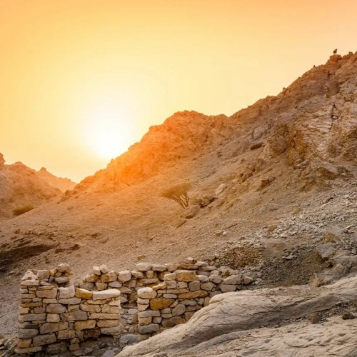 Stream Rescue Mission Briefing: Don't Be Alarmed & Stand Firm to the ...