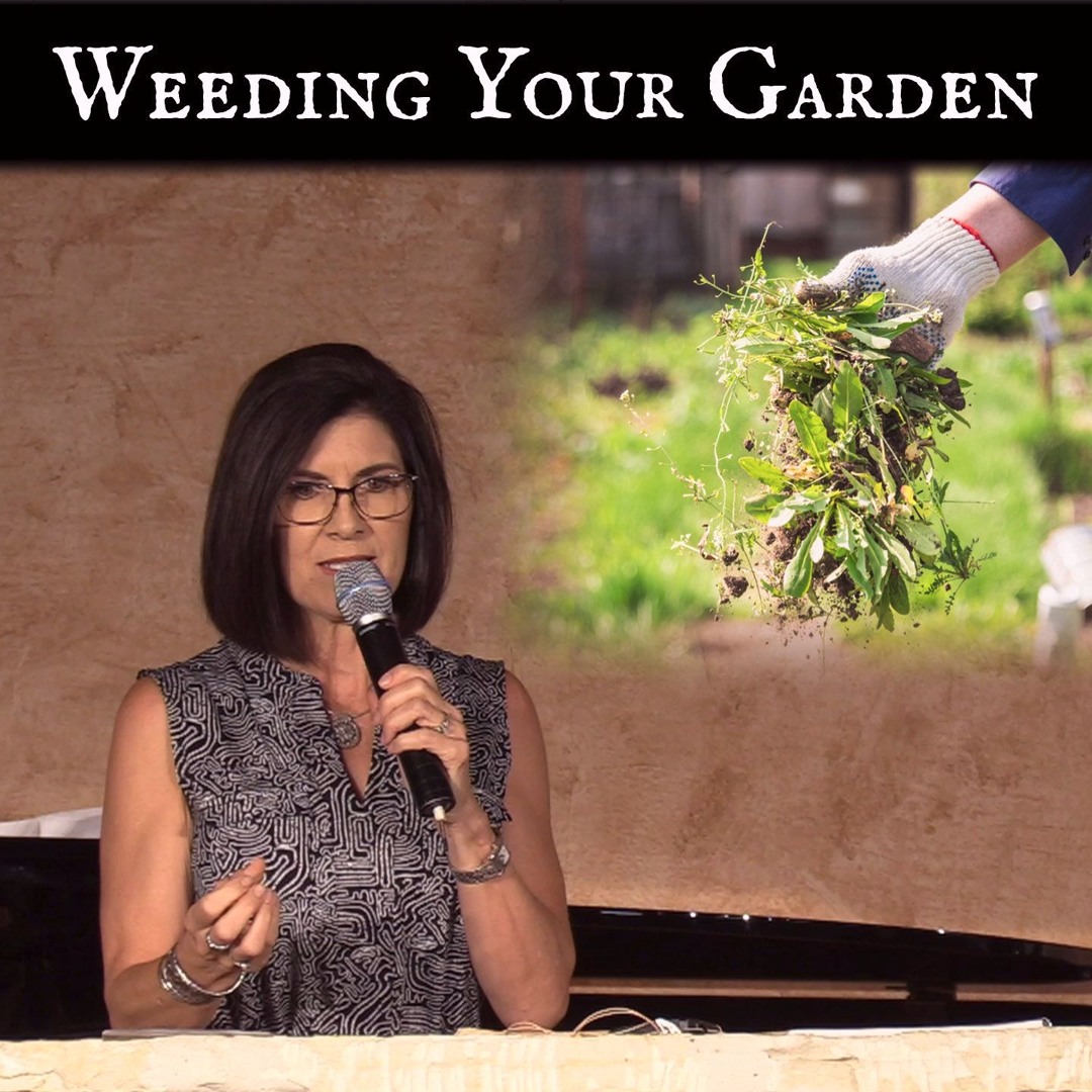Stream Wednesday - 9-8-21 - Tracy Hillis - Weeding Your Garden by The ...