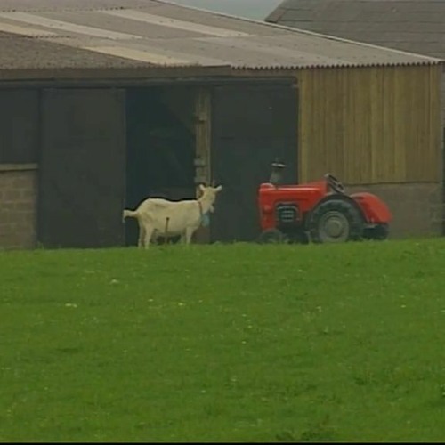 Stream Tecwyn y Tractor (Tec the Tractor) - Opening Cue #1 by ...