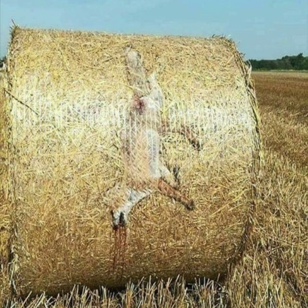 Stream I Don't Care by PopKill | Listen online for free on SoundCloud