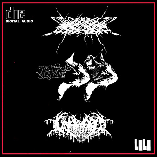 Stream Skrilla - Doot Doot 67 (Remix) Prod. JANE & STICKBUG222 by ...