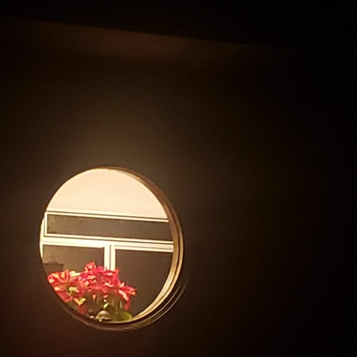 Stream Serotonin Storm by Rothko | Listen online for free on SoundCloud