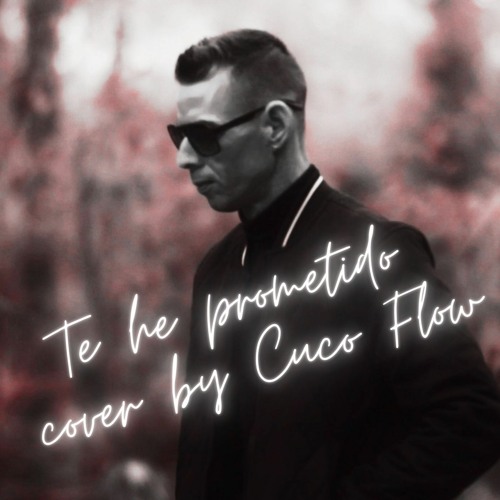 Stream Te he prometido - Leo Dan cover by Cuco Flow by Cuco Flow | Listen online for free on ...