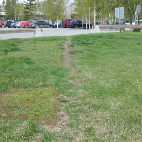 Stream 30. Path that resembles the 1967 piece “A Line Made by walking ...