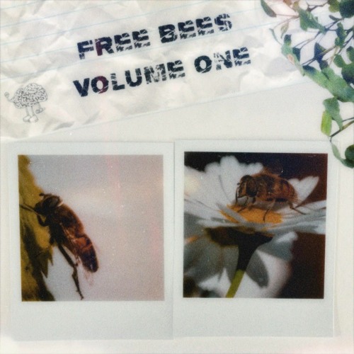Stream CSpring | Listen to free bees vol. 1 playlist online for free on ...