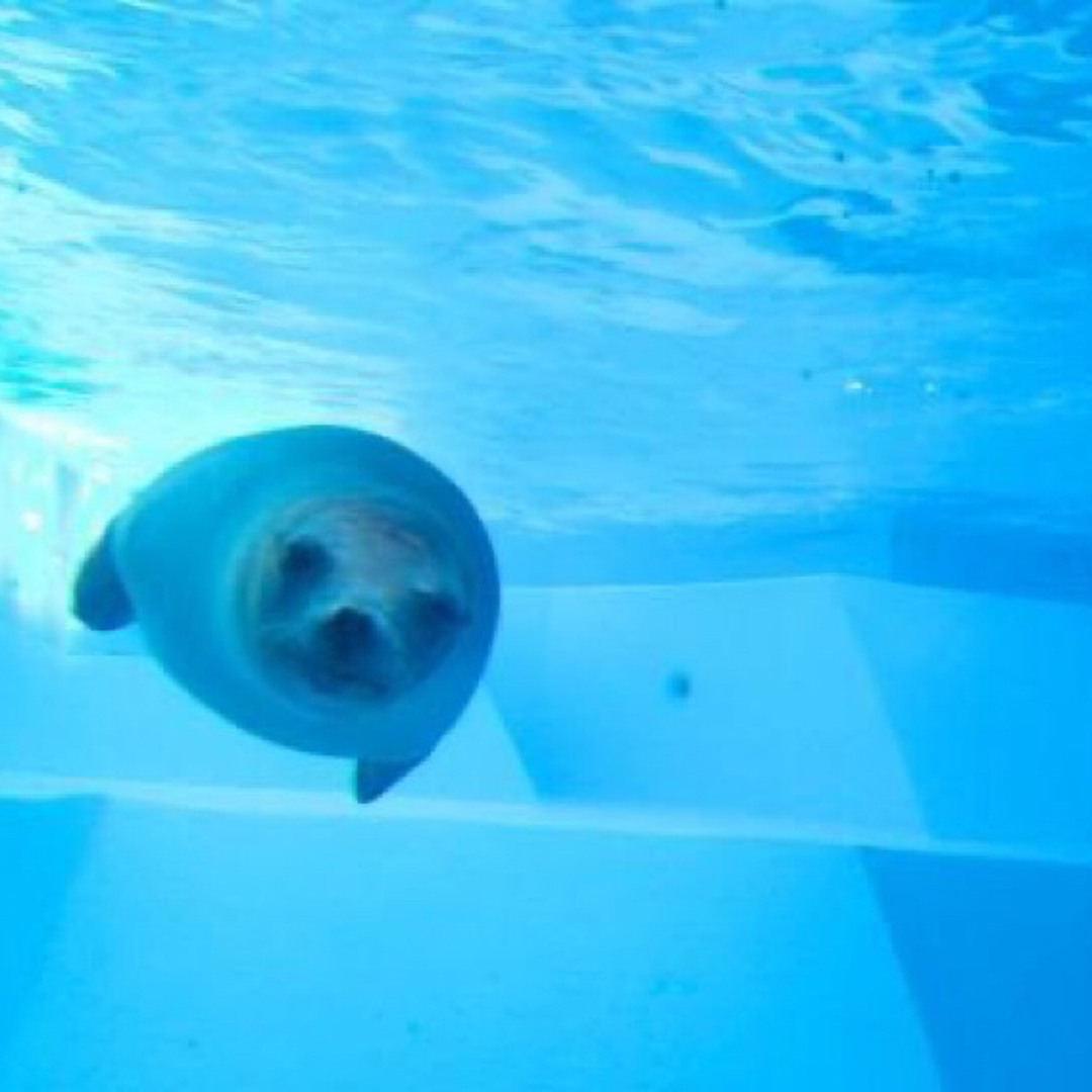 Stream Emray - About 10 Hours of making Breakcore by bree path | Listen ...