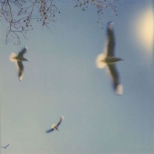 Stream Jvvn | Listen to things u did to me/i won't worry playlist ...