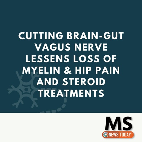 Stream Cutting Brain-gut Vagus Nerve Lessens Loss of Myelin & Hip Pain ...