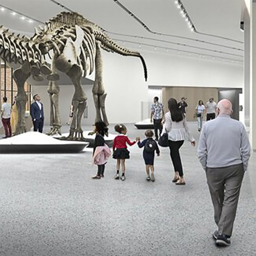 Stream Edward Skeletrix | Listen to Museum Music (Full Album) playlist online for free on SoundCloud