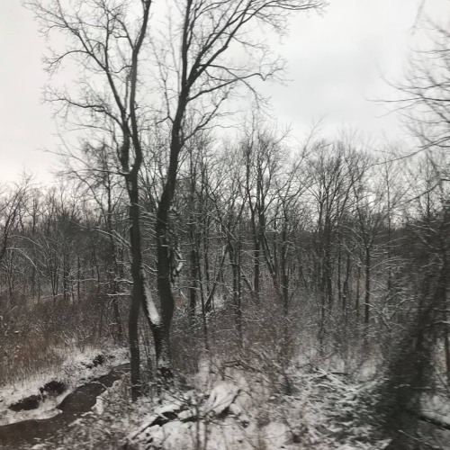 Stream Sam Stone - Cover by All Your Favorite Feel Good Hits | Listen ...