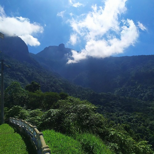 Stream Natasha Mcintyre by Bartaiss | Listen online for free on SoundCloud