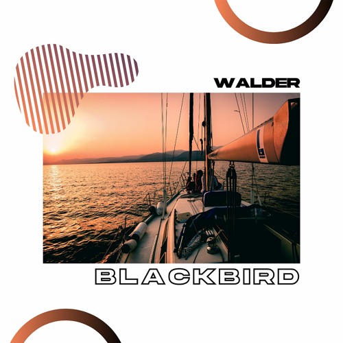 Stream "Blackbird" | Sad Emotional Rap Instrumental 2021 by Walder ...