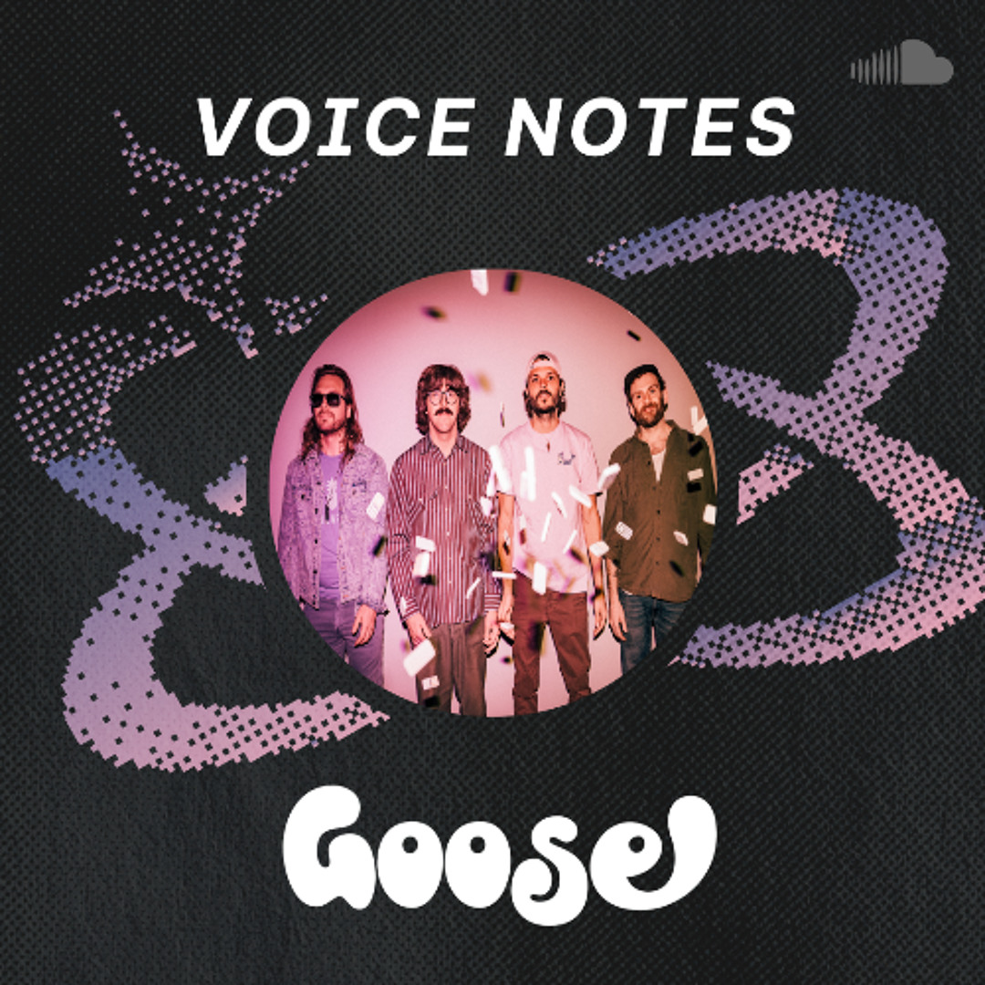 Stream SoundCloud Stories | Listen to Voice Notes: Goose playlist ...