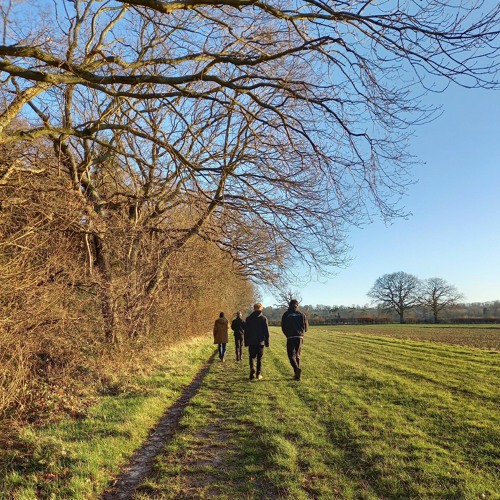 Stream Friends on Film - Extended Composition by Natasha DK | Listen ...