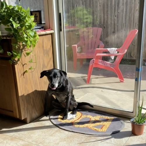 Stream Crumble Pt 2 by JACOB STILES | Listen online for free on SoundCloud