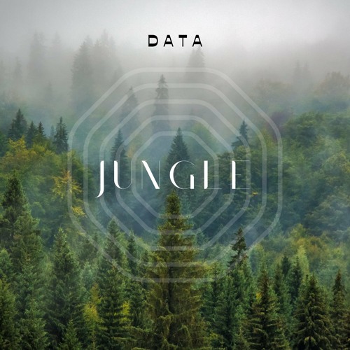 Stream Jungle by Data | Listen online for free on SoundCloud
