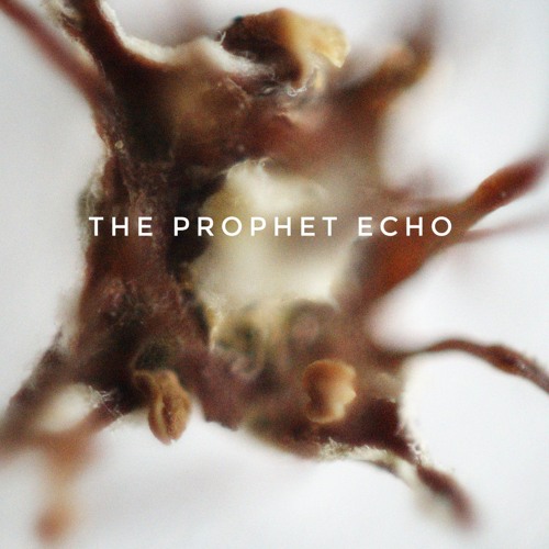 Stream ¿Que? by the Prophet Echo | Listen online for free on SoundCloud